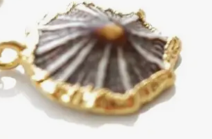 Opihi Shell Necklace – Ohana Shop Kauai